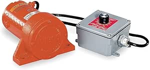 Amazon.com: Electric Vibrator, 1.30A, 115VAC, 1-Phase: Home Improvement