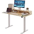 Amazon.com: Our Modern Space 2-Tier Height Adjustable 45" Electric ...