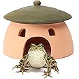Amazon.com : Tino Kino Frog and Toad House 8 x 6Inch Toad House for ...