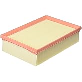 Amazon.com: ACDelco GM Original Equipment A3100C Air Filter : Automotive