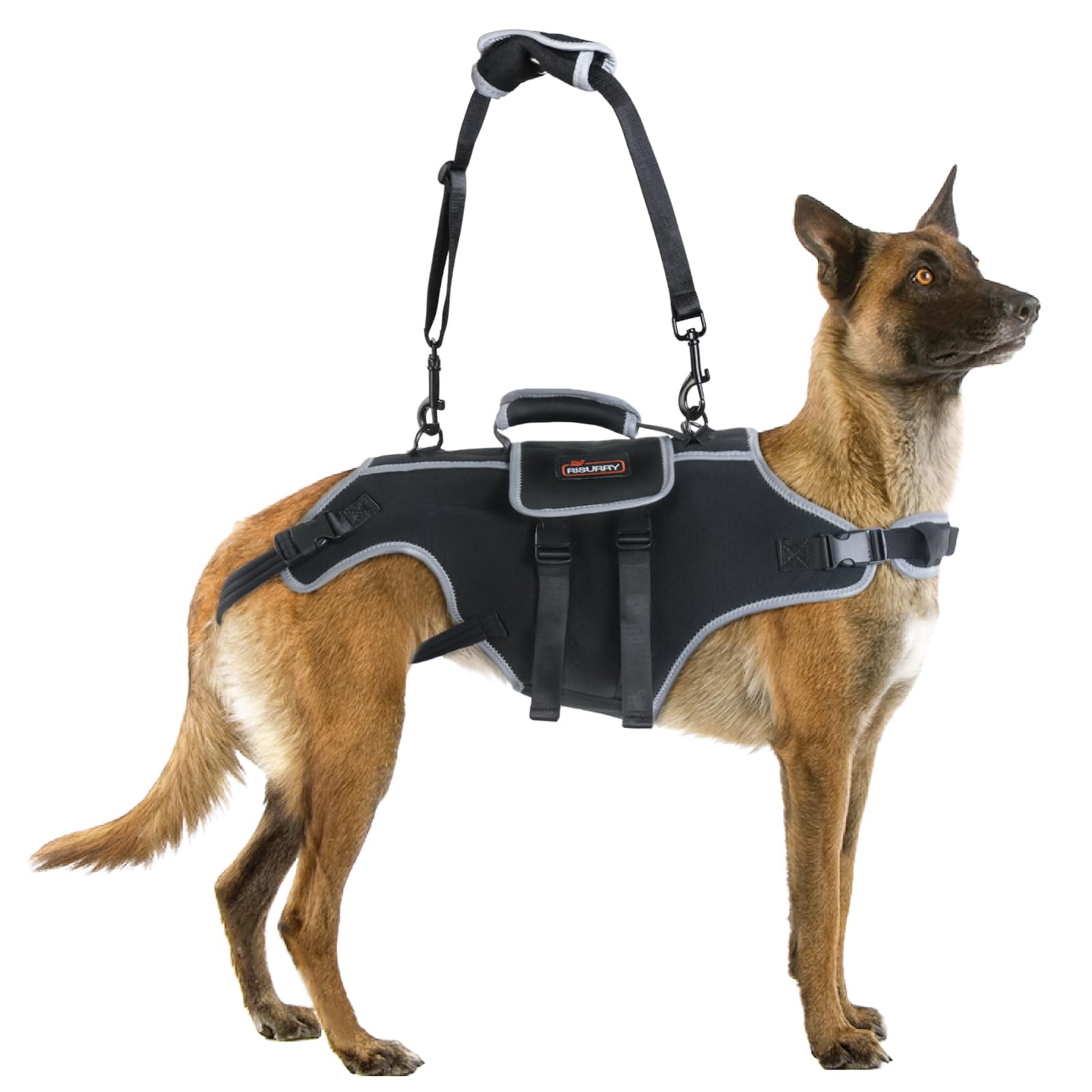 Dog Lift Harness, Dog Back Brace, Full Body Dog with Handle ...