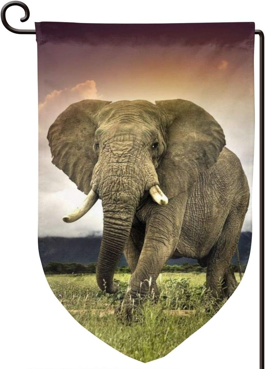Amazon.com: ACHOGI African Elephant Garden Flag Outdoor Yard Decorative ...