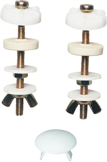 Wirquin 19021009 M21 Screws for Toilet Cistern/Bowl: Amazon.co.uk: DIY ...