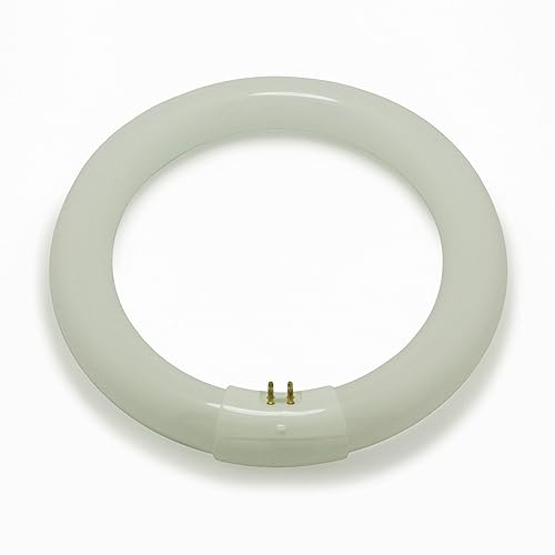 32W 240V G10q Cap Circular Fluorescent Tube 305mm Diameter: Amazon.co ...