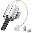 Amazon.com: 316489400 Gas Range Oven Igniter 5304534663 Flat Style ...