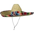 Amazon.com: Jacobson Hat Company Mexican Sombrero Hat Adult Costume ...