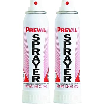 Preval 267 Spray Gun, Paint Sprayers - Amazon Canada
