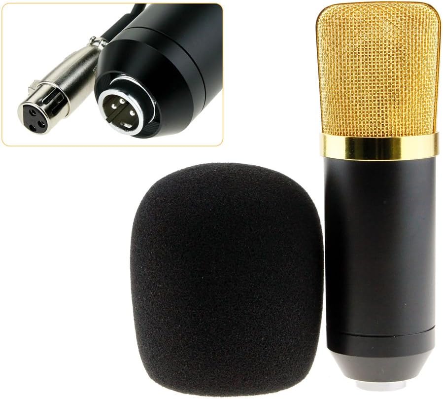 Pro Studio Durable Standard Anti Vibration Microphone Full Recording ...
