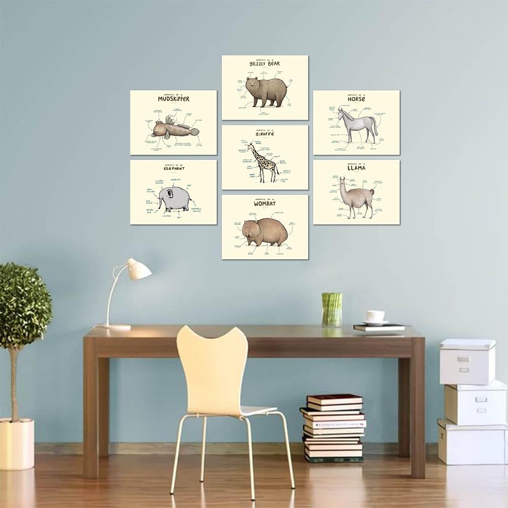 Mua Anatomy Poster Set - Set of 7 Frameless 8x10 Inch Posters ...