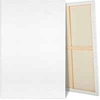 Amazon.com: Large Canvas for Painting, 2 Pack 30x40" White Pre ...