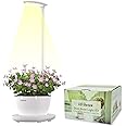 Amazon.com: iGrowtek Desk Grow Lamp,LED Desktop Plant Light,Planter ...