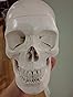 Medical Anatomical Human Skull Model High Quality, Classic, 3-part ...