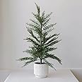 Amazon.com: CG Hunter Holiday Collection, Set-of-2 Faux Cedar Trees, Premium Artificial Indoor ...
