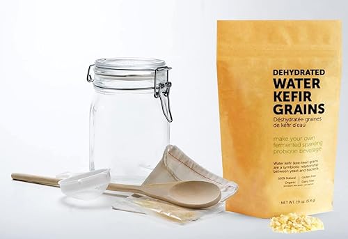 Coconut Cream Yogurt Starter Kit by Water Kefir World | Yogurt Maker ...