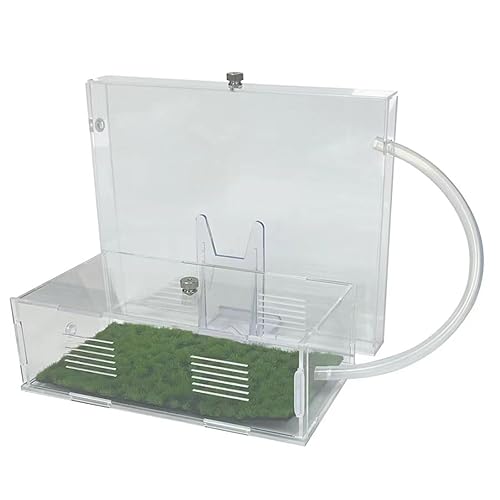 Ants Footsteps Ant Farm Nest for Live Ants Acrylic Science Learning Kit ...