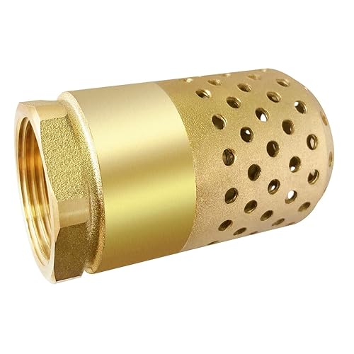 Brass Foot Valve 3/4 inch NPT Heavy Duty Spring Mesh Check Valve Female ...