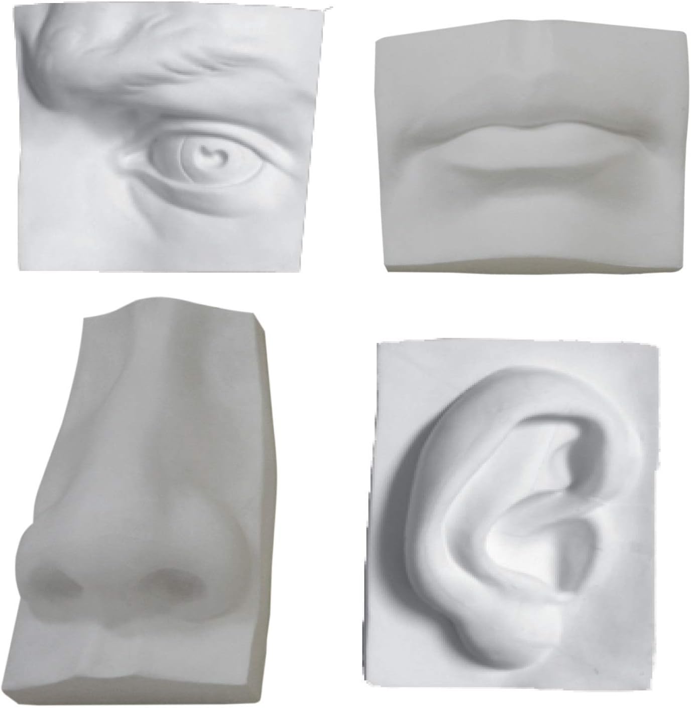 Perspective Plaster Cast Face Set of Eye, Ear, Nose and Mouth: Amazon ...