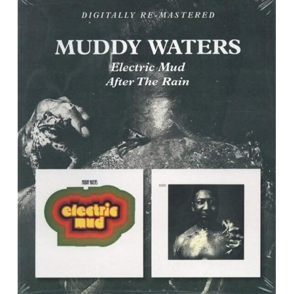 Electric Mud Vinyl