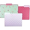 Amazon.com : Graphique Flamingo Pink File Folder Set – File Set ...