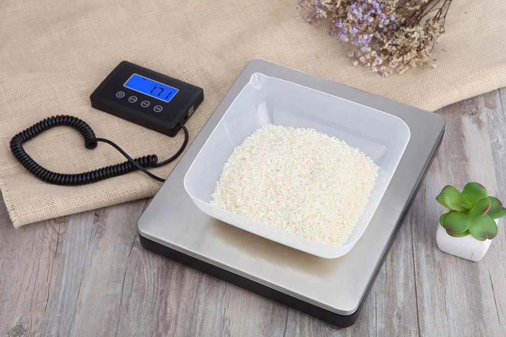 Mua Disenkelubo 180 kg Maximum Scale 180 kg Scale 10.05 kg Unit Digital ...