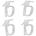 Amazon.com: Silver Glitter 15 Cut-Out Numbers, 15th Birthday Party ...
