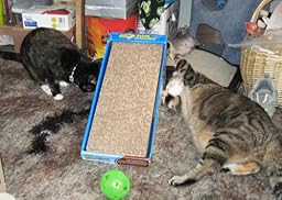 Amazon.com : Cosmic Alpine Scratcher : Scratching Pads : Pet Supplies