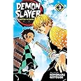 Amazon.com: Demon Slayer: Kimetsu no Yaiba, Vol. 4 (4): 9781974700554 ...