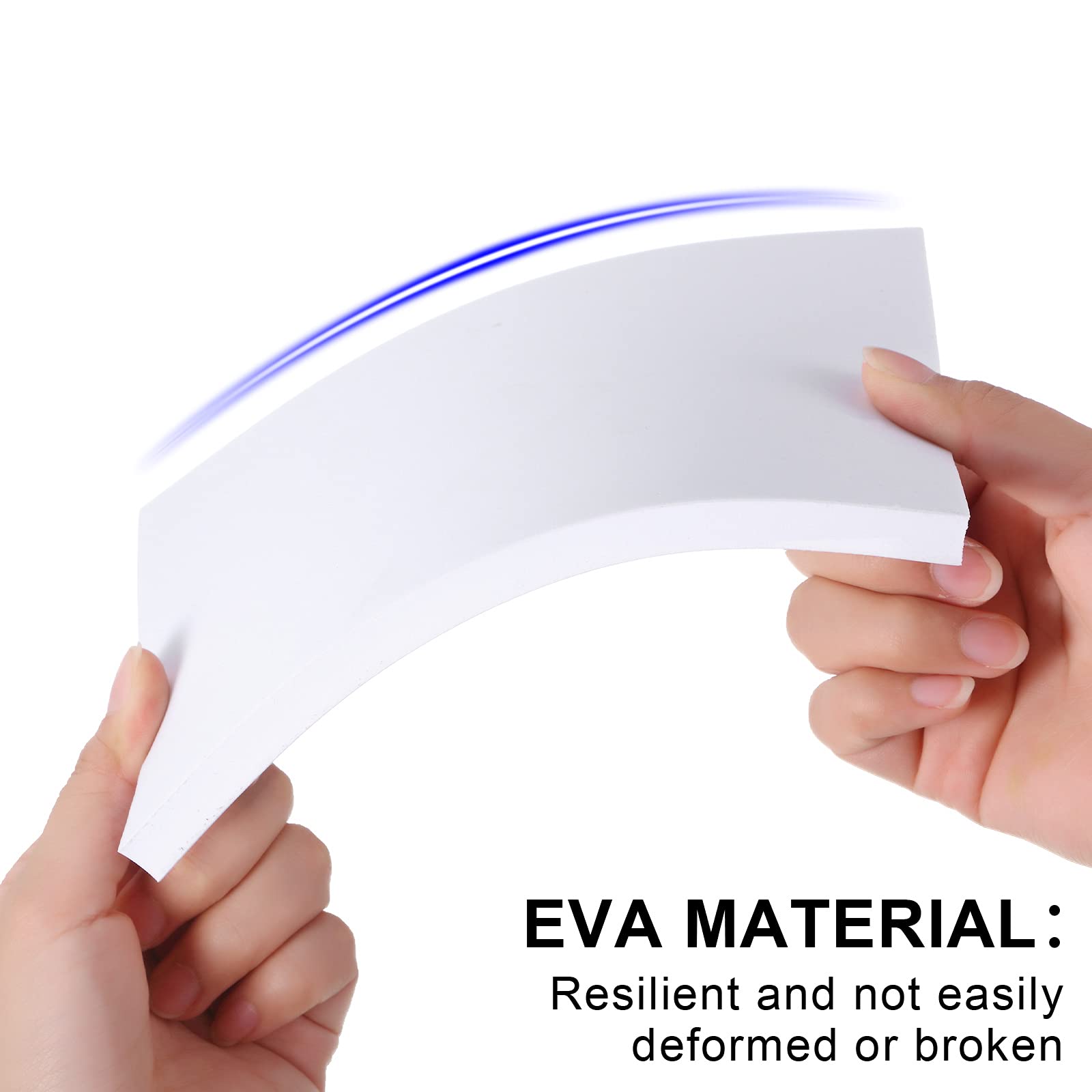 Insect Display Case Box Collection Box With Clear Top, EVA Foam Pinning ...