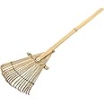 Amazon.com : GANAZONO Rakes for Lawns Leaf Scoops Hand Rakes Gardening ...