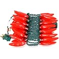 Amazon.com: Sival - 35 Light 13.5' Green Wire Red Chili Pepper String ...
