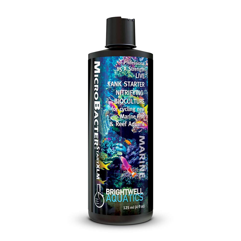 Mua Brightwell Aquatics MicroBacter Start XLM - Concentrated Freshwater ...