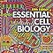 Essential Cell Biology: Alberts, Bruce, Hopkin, Karen, Johnson ...