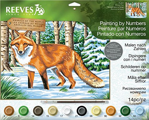Fox Paint By Number Kits • Paint By Number For Adults