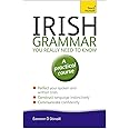 Teach Yourself Irish Grammar You Really Need to Know: A Practical ...