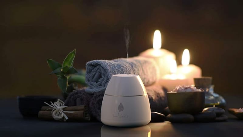 What are the Best Nebulizer Essential Oil Diffusers in 2021?