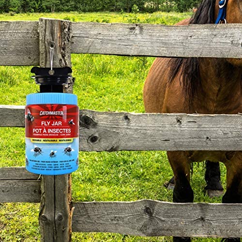Catchmaster Reusable Fly Traps Outdoor Jar 1-Pack, Bug Catcher and ...