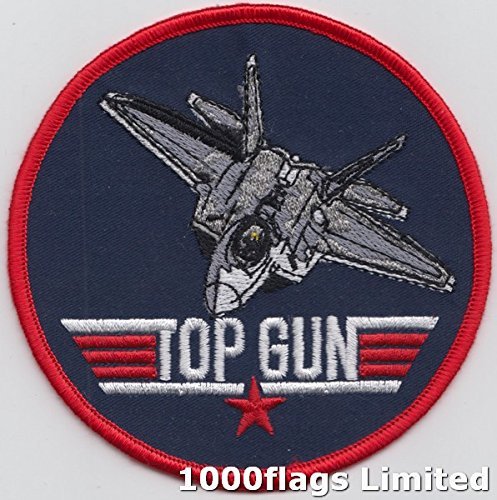 Buy Lockheed Martin F-22Raptor Driver Stealth Fighter Jet Top US Air ...