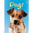 Amazon.com: Dogs (Usborne Beginners: Information For Young Readers ...