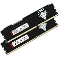 Amazon.com: Yongxinsheng 16GB (8GBx2) DDR3 1866MHz (PC3 14900) CL13 ...