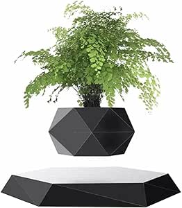 Amazon.com: Magnetic Levitating Flower Pot Air Bonsai Black Hexagon ...