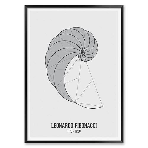 Fibonacci Sequence Poster for Mathematicians, Mathematics Wall Decor with Fibonacci Spiral and ...