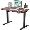 Amazon.com: FLEXISPOT EC1 Essential Electric Standing Desk 48 x 30 Inches Height Adjustable Desk ...