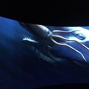 Amazon.com: Whale vs. Giant Squid (Who Would Win?) (9780545301732 ...
