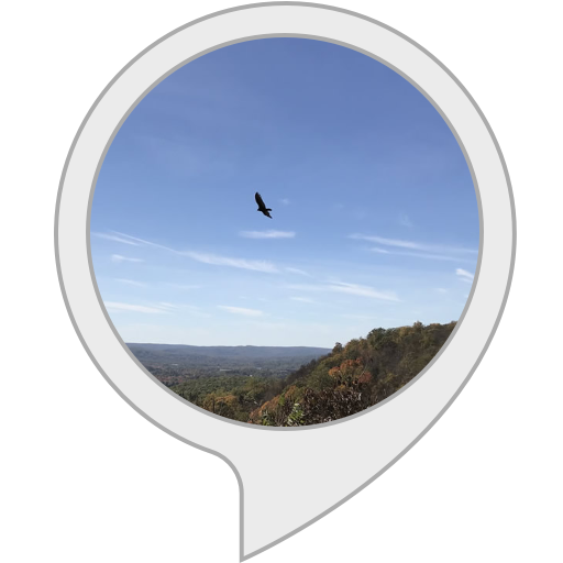 Amazon.com: Say Grace : Alexa Skills