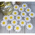 Amazon.com: Daisy Flower Confetti - Daisy Table Scatter Confetti - 25 ...