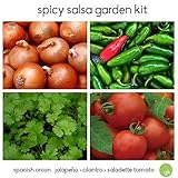 Culinary Salsa Growing Kit - The Green Head