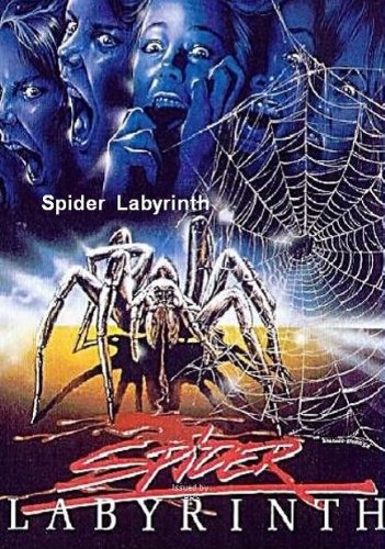 Amazon.com: Spider Labyrinth: Roland Wybenga, Paola Rinaldi, Stephane ...