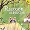 Raccoon On His Own (Picture Puffin Books): Jim Arnosky: 9780142500712 ...