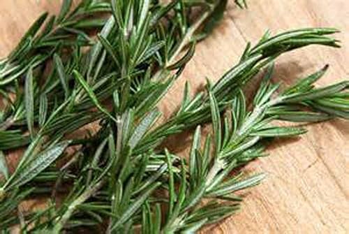 Rosemary, Herb Seed, Heirloom, 100+ Seeds, Healthy and Tasty Herb in ...