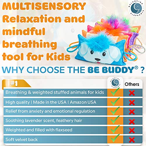 BE Buddy Multisensory Breathing Buddy, Comforting Eye Pillow for ...